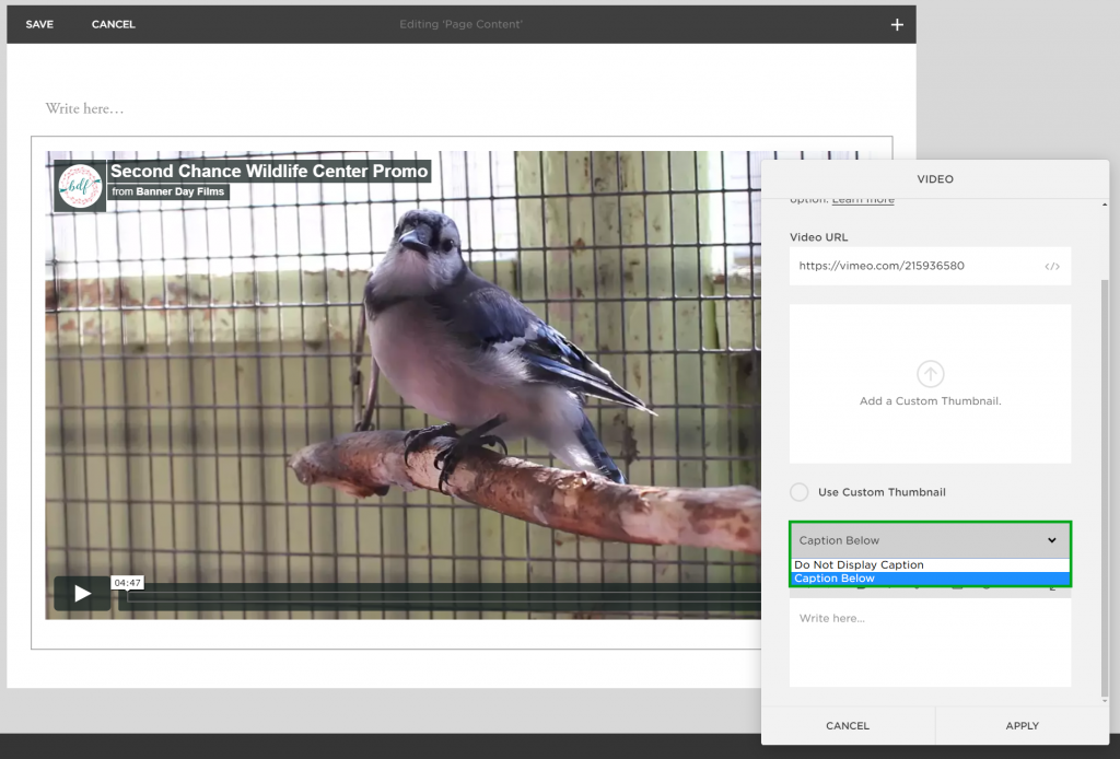 Using Video on Your Website | MotionWorks